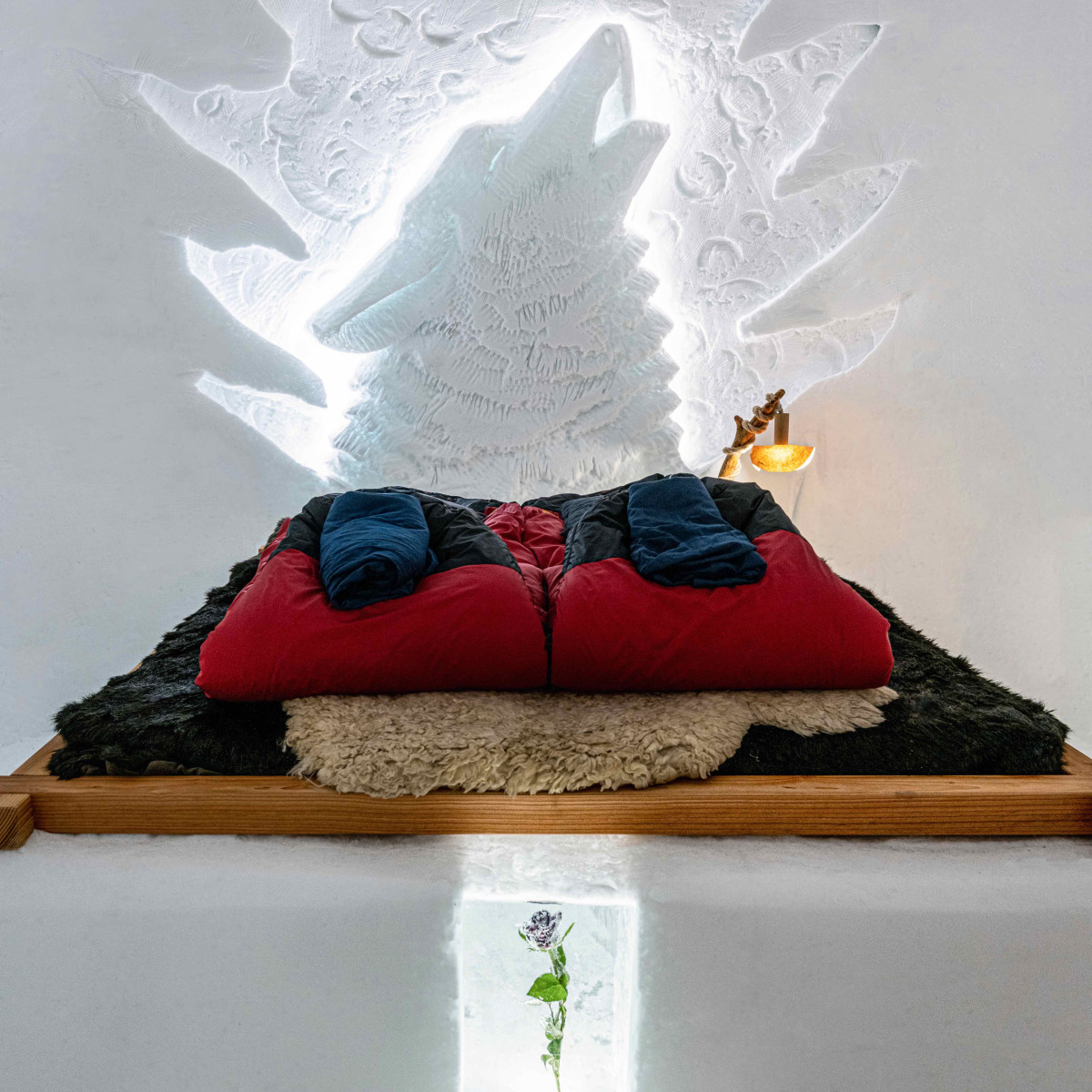 Iglu-Finder · Iglu-Dorf – das Original