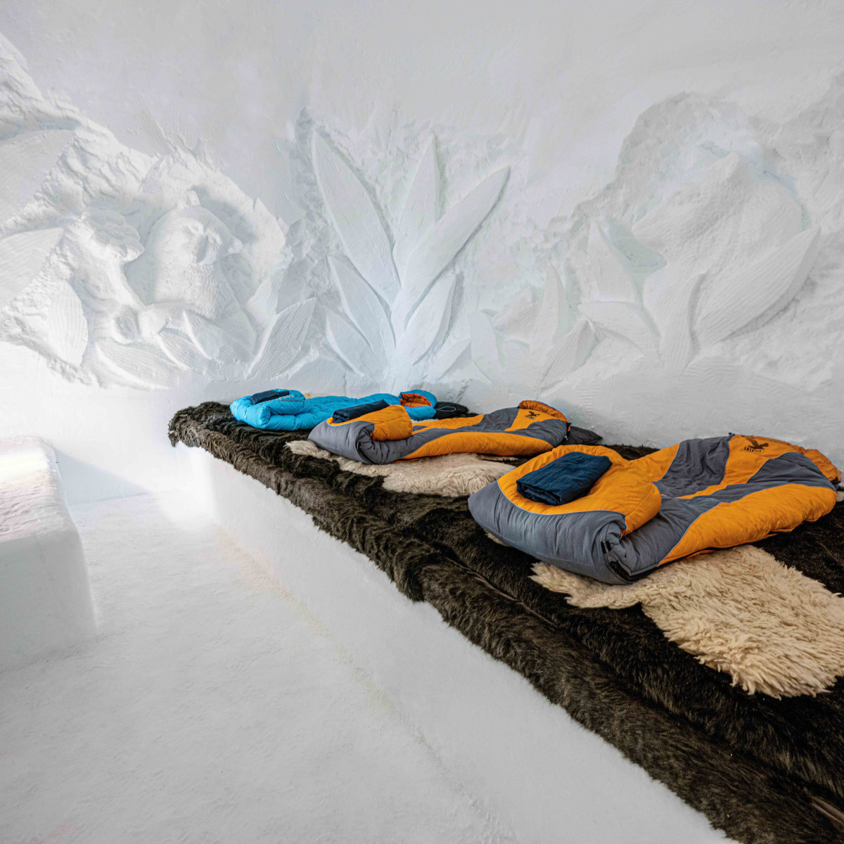 Iglu-Finder · Iglu-Dorf – das Original